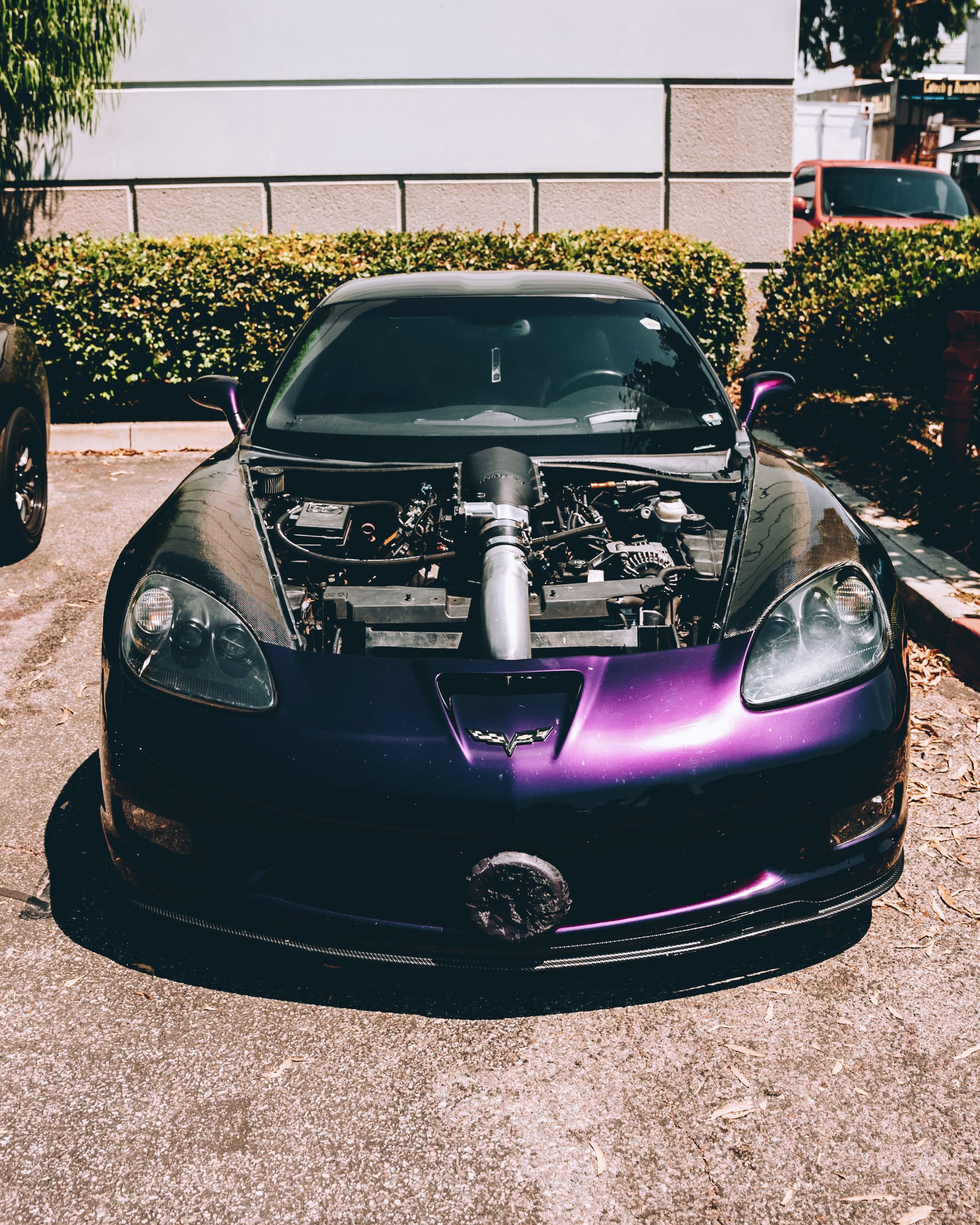 LSX MANNY OFFICIAL – LSX LOS ANGELES